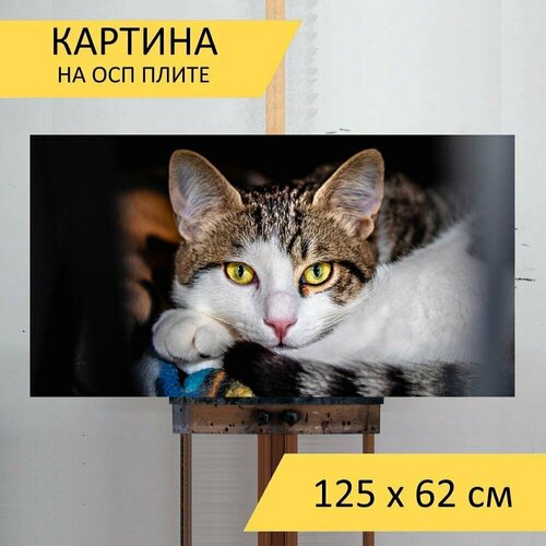 Картина на ОСП 125х62 см. "Животные, кошки, дома" горизонтальная, для интерьера, с креплениями