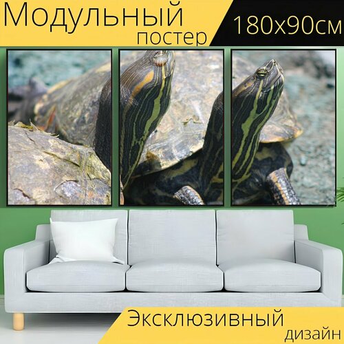 Модульный постер "Черепаха, рептилия, животное" 180 x 90 см. для интерьера