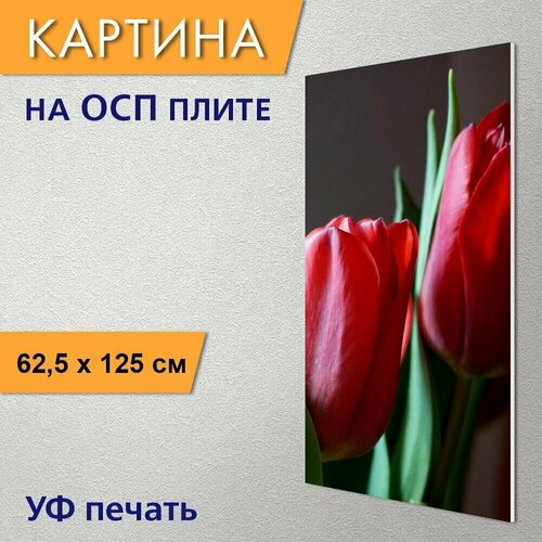 Вертикальная картина на ОСП "Тюльпаны, цветок, флора" 62x125 см. для интерьериа