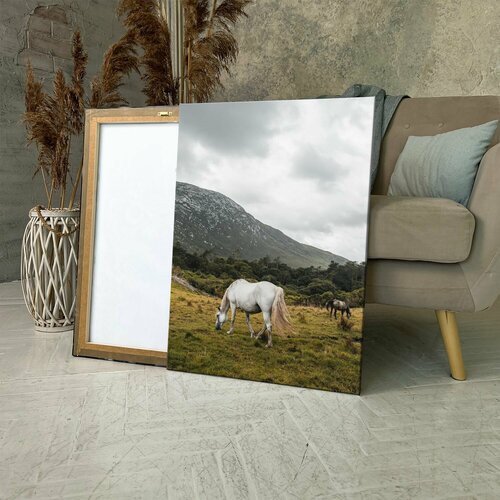Картина на холсте (Белая лошадь пасется в поле на фоне гор) 30x40 см. Интерьерная, на стену.