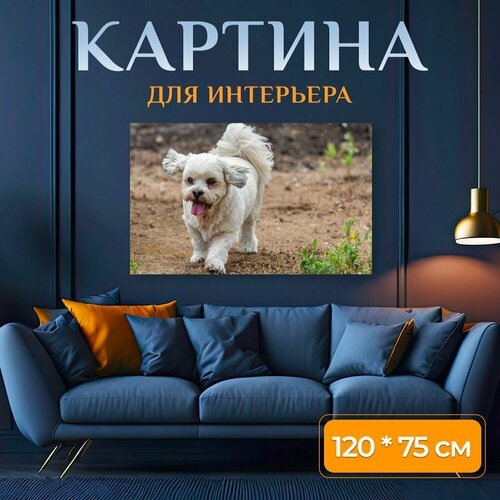 Картина на холсте "Собака, собачий, домашний питомец" на подрамнике 120х75 см. для интерьера