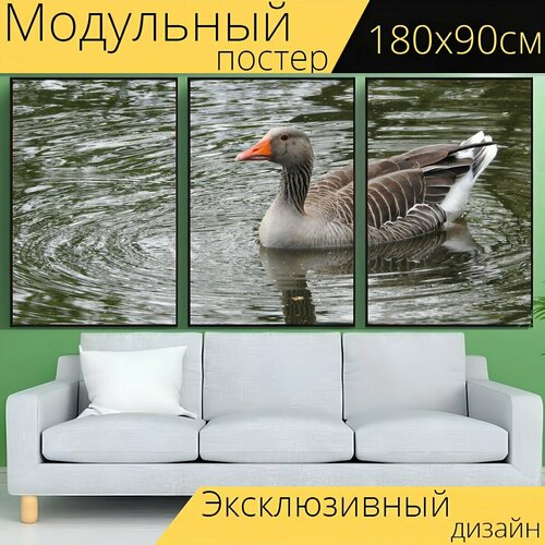 Модульный постер "Дикий гусь, гусь, водоплавающая птица" 180 x 90 см. для интерьера