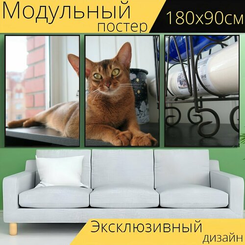 Модульный постер "Котята, абиссинцыкошки, кошкиабиссинцы" 180 x 90 см. для интерьера