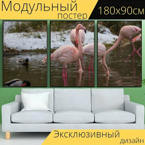Модульный постер "Фламинго, птицы, природа" 180 x 90 см. для интерьера