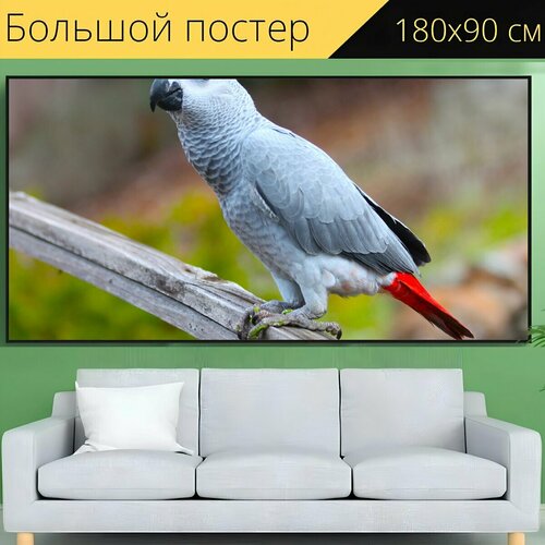 Большой постер "Попугай, птица, дикая природа" 180 x 90 см. для интерьера