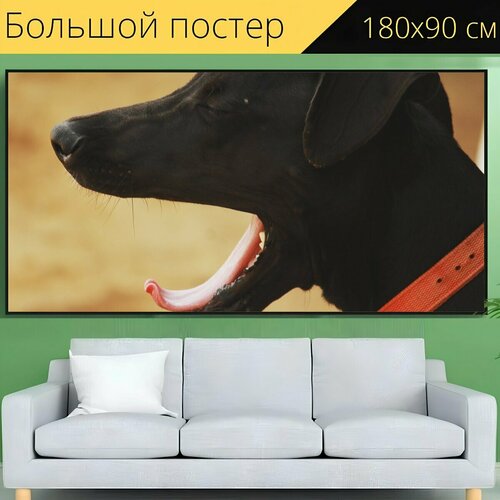 Большой постер "Собака, зевать, сонный" 180 x 90 см. для интерьера