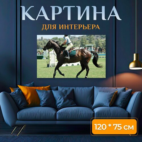 Картина на холсте "Лошадь, лошади, конный спорт" на подрамнике 120х75 см. для интерьера