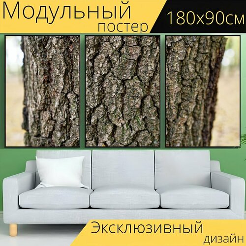 Модульный постер "Текстура дерева, природа, древесина" 180 x 90 см. для интерьера