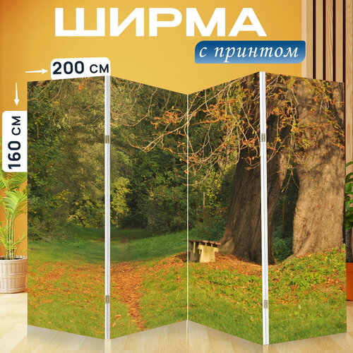Ширма перегородка с принтом "Осень, скамейка, дерево" на холсте - 200x160 см. для зонирования, раскладная