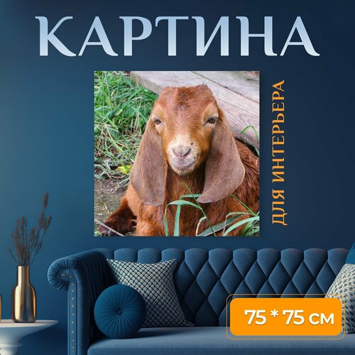 Картина на холсте "Козел, коричневый козий, животное" на подрамнике 75х75 см. для интерьера