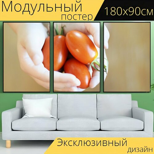 Модульный постер "Томаты черри, помидоры, сад" 180 x 90 см. для интерьера