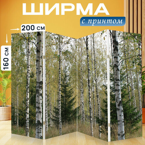 Ширма перегородка с принтом "Береза, деревья, лес" на холсте - 200x160 см. для зонирования, раскладная