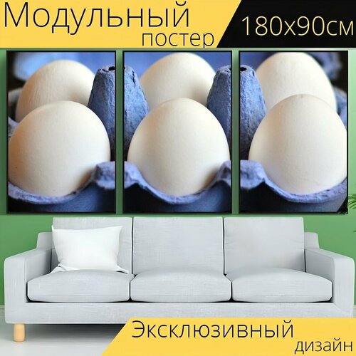 Модульный постер "Яйца, коробка для яиц, белые яйца" 180 x 90 см. для интерьера