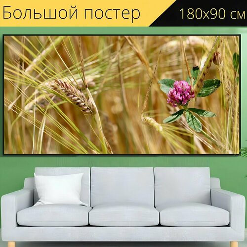 Большой постер "Пшеница, кукурузное поле, клевер" 180 x 90 см. для интерьера