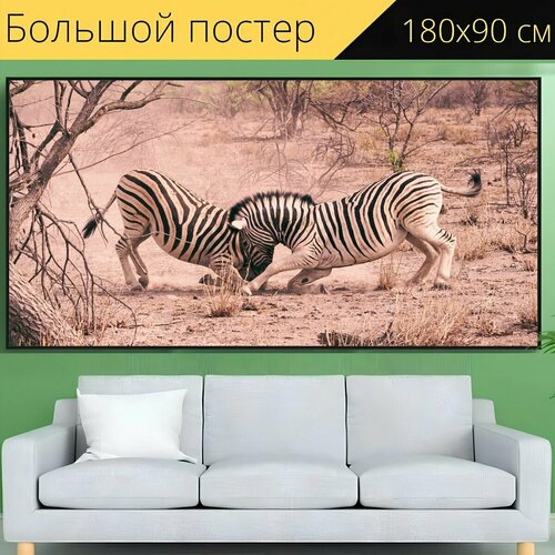 Большой постер "Зебра, животное, дикая природа" 180 x 90 см. для интерьера