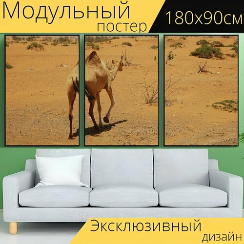 Модульный постер "Верблюды, пустыня, оаэ" 180 x 90 см. для интерьера