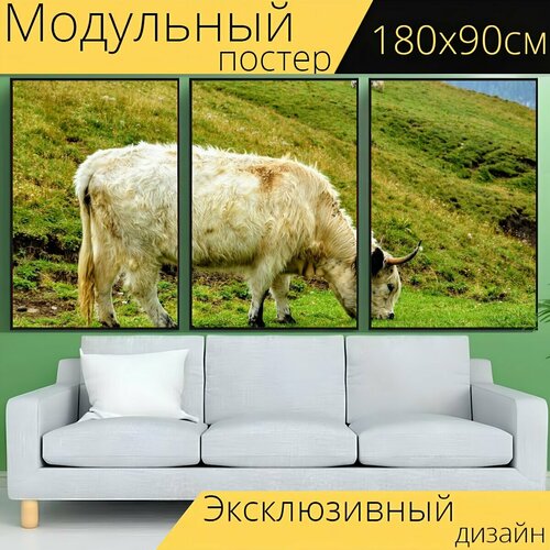 Модульный постер "Корова, тибетская, лужайка" 180 x 90 см. для интерьера