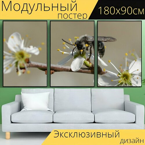 Модульный постер "Песок пчела, насекомое, цветок" 180 x 90 см. для интерьера