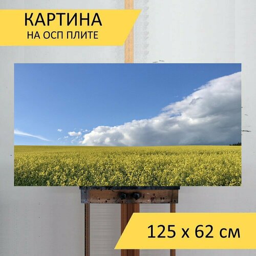 Картина на ОСП 125х62 см. "Рапс, желтый, пейзаж" горизонтальная, для интерьера, с креплениями