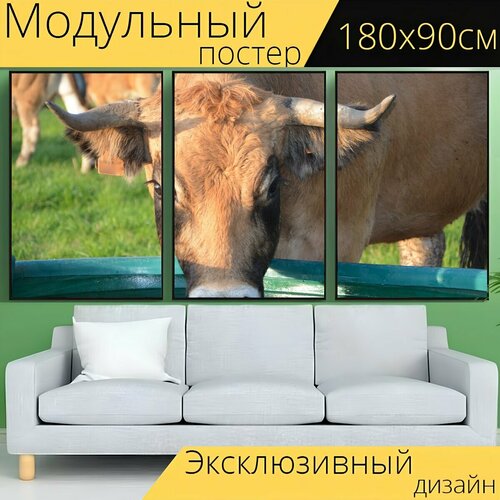 Модульный постер "Корова, быков, жвачный" 180 x 90 см. для интерьера