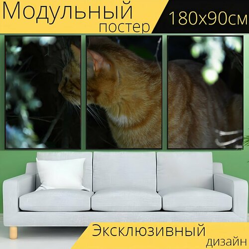 Модульный постер "Кот, рыжий, кошка" 180 x 90 см. для интерьера