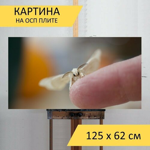 Картина на ОСП 125х62 см. "Шелковый мотылек, насекомое, моль" горизонтальная, для интерьера, с креплениями