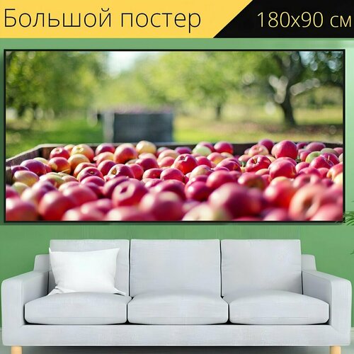 Большой постер "Яблоки, фрукты, ферма" 180 x 90 см. для интерьера