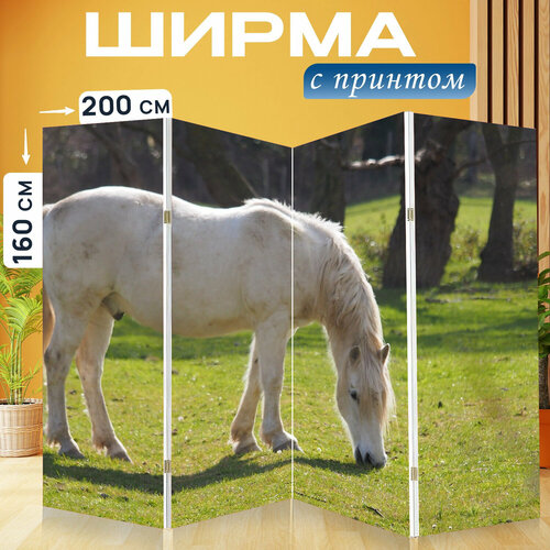 Ширма перегородка с принтом "Животные, лошадь, белый" на холсте - 200x160 см. для зонирования, раскладная
