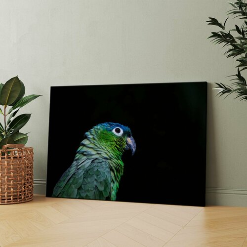 Картина на холсте (Черный попугай, зеленый попугай, темнота) 20x30 см. Интерьерная, на стену.