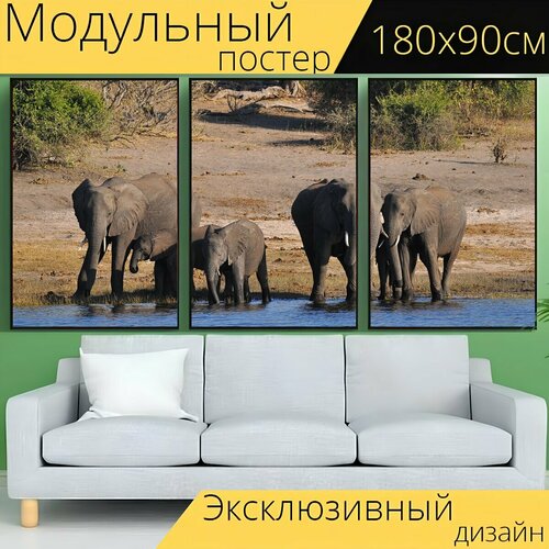 Модульный постер "Дикая природа, млекопитающее, слон" 180 x 90 см. для интерьера