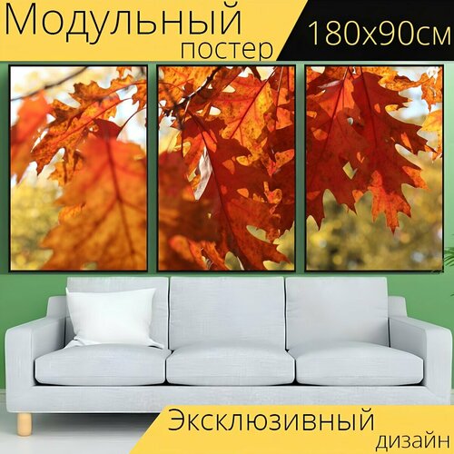 Модульный постер "Осень, красочные листья дуба, снижаться" 180 x 90 см. для интерьера