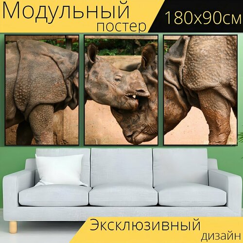 Модульный постер "Дикая природа, носорог, африке" 180 x 90 см. для интерьера