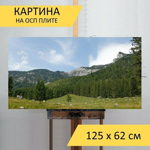 Картина на ОСП 125х62 см. "Милостыня, альпийский луг, горы" горизонтальная, для интерьера, с креплениями