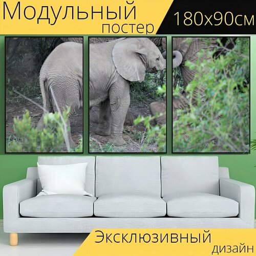 Модульный постер "Детка, африканский слон, материнский" 180 x 90 см. для интерьера