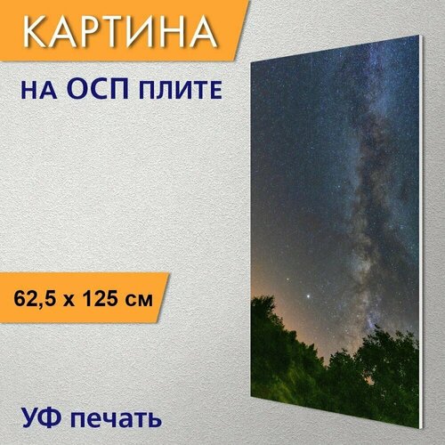 Вертикальная картина на ОСП "Млечный путь, галактика, вселенная" 62x125 см. для интерьериа