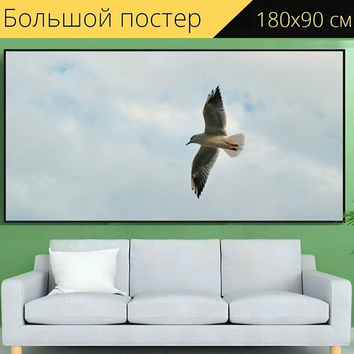 Большой постер "Чайка, полет, птица" 180 x 90 см. для интерьера