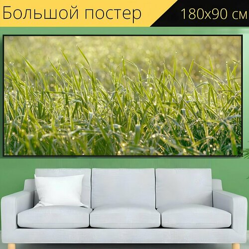 Большой постер "Сочная трава, роса, луг" 180 x 90 см. для интерьера