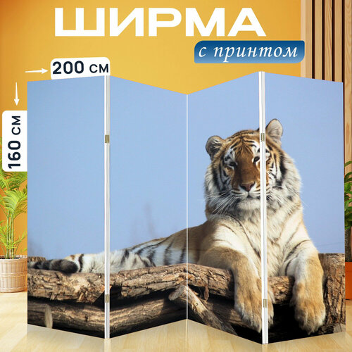 Ширма перегородка с принтом "Тигр, индийский, зверь" на холсте - 200x160 см. для зонирования, раскладная