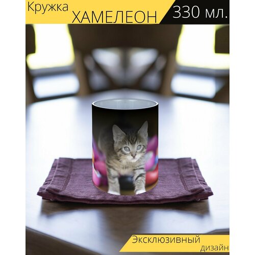 Кружка хамелеон с принтом "Кошка, котенок, домашний питомец" 330 мл.