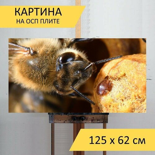 Картина на ОСП 125х62 см. "Пчела, насекомое, усики" горизонтальная, для интерьера, с креплениями