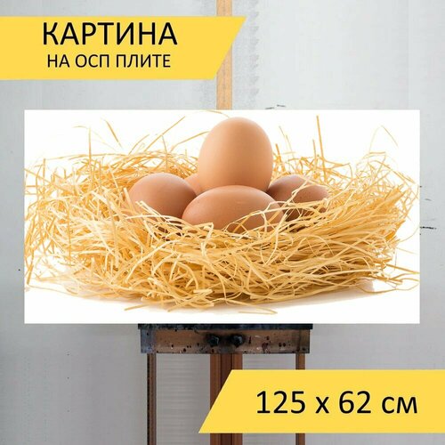 Картина на ОСП 125х62 см. "Вбить яйца, гнезда яйцо, яйца" горизонтальная, для интерьера, с креплениями