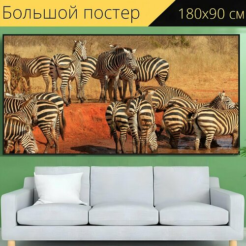 Большой постер "Африке, кения, зебра" 180 x 90 см. для интерьера