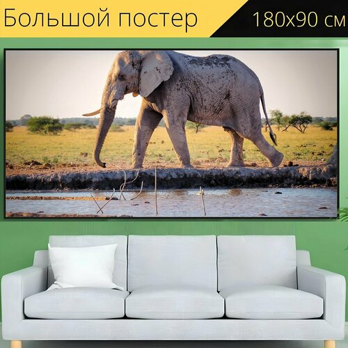 Большой постер "Слон, животное, дикий" 180 x 90 см. для интерьера