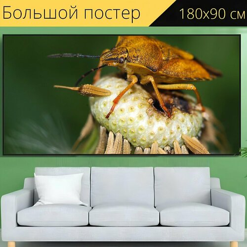 Большой постер "Черепашки, насекомое, природа" 180 x 90 см. для интерьера
