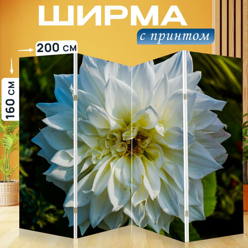 Ширма перегородка с принтом "Цветок, блум, свежий" на холсте - 200x160 см. для зонирования, раскладная