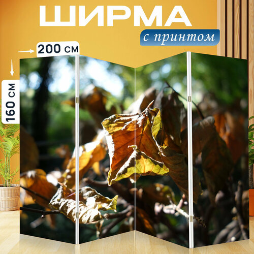 Ширма перегородка с принтом "Листья, падение, деревянный пол" на холсте - 200x160 см. для зонирования, раскладная
