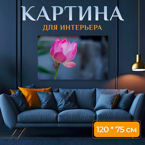 Картина на холсте "Лотос, цветок, завод" на подрамнике 120х75 см. для интерьера