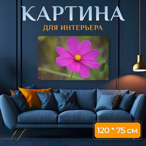 Картина на холсте "Природа, цветок, завод" на подрамнике 120х75 см. для интерьера