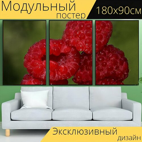 Модульный постер "Малина, ягода, ягоды" 180 x 90 см. для интерьера