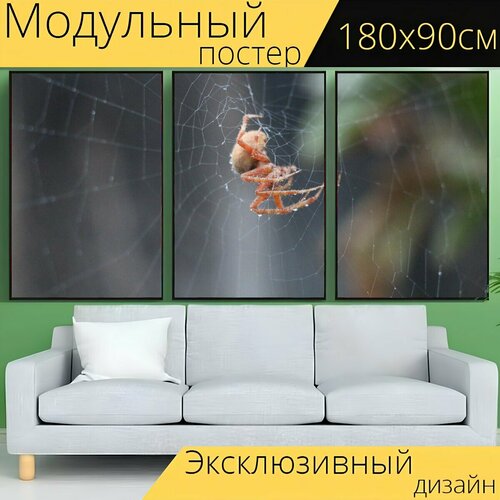 Модульный постер "Паук, паутина, паукообразный" 180 x 90 см. для интерьера